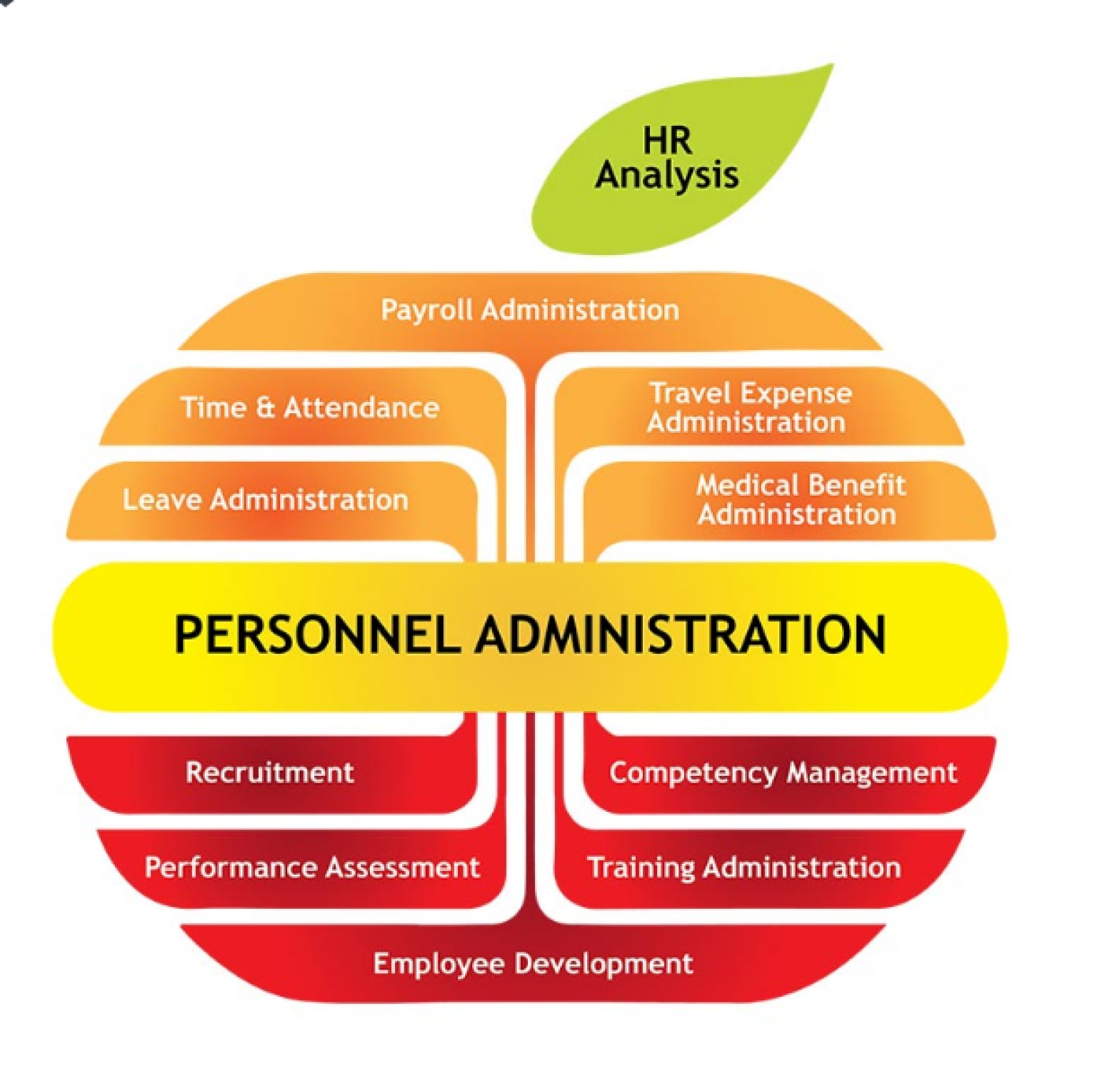 Human Resource System – Medinfras